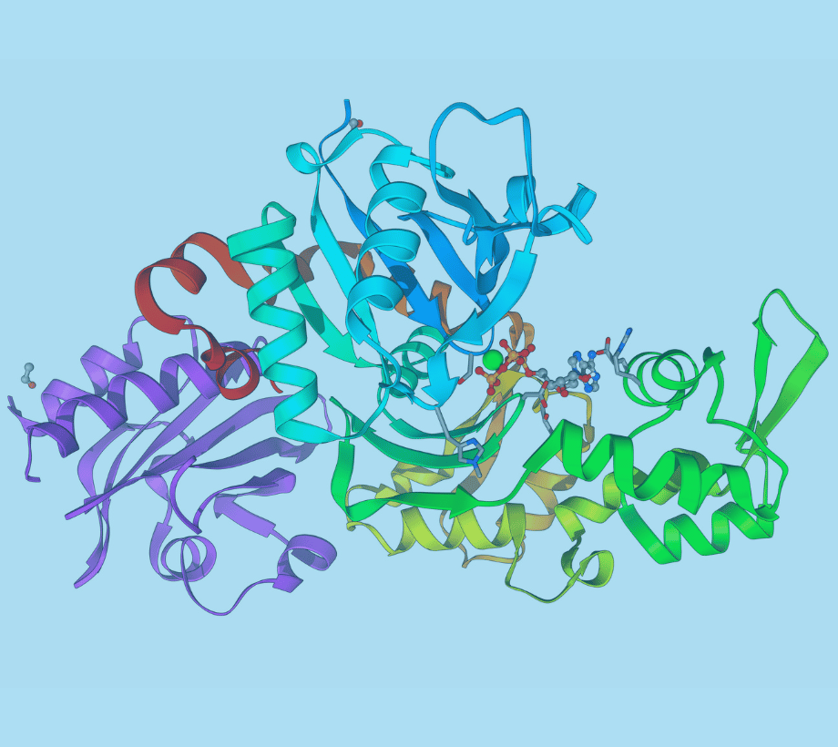 New insights into actin filament diversity - Prosemble
