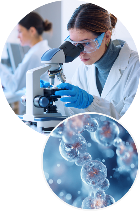 Pipeline - Prosemble