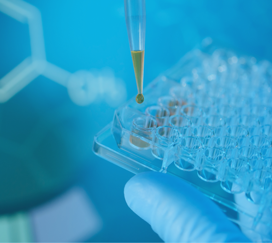 A family of bacterial actin homologues forms a 3-stranded tubular ...